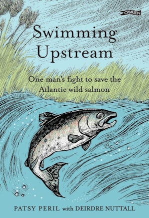 Swimming Upstream - Celtic Books